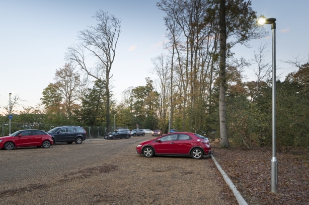 How to light outdoor spaces when bats are a consideration - Ansell Lighting